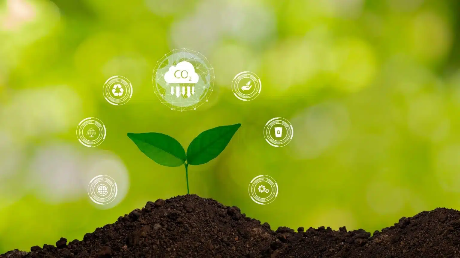 5 AgriFood Trends To Be Excited About in 2025 | Start Up Hub